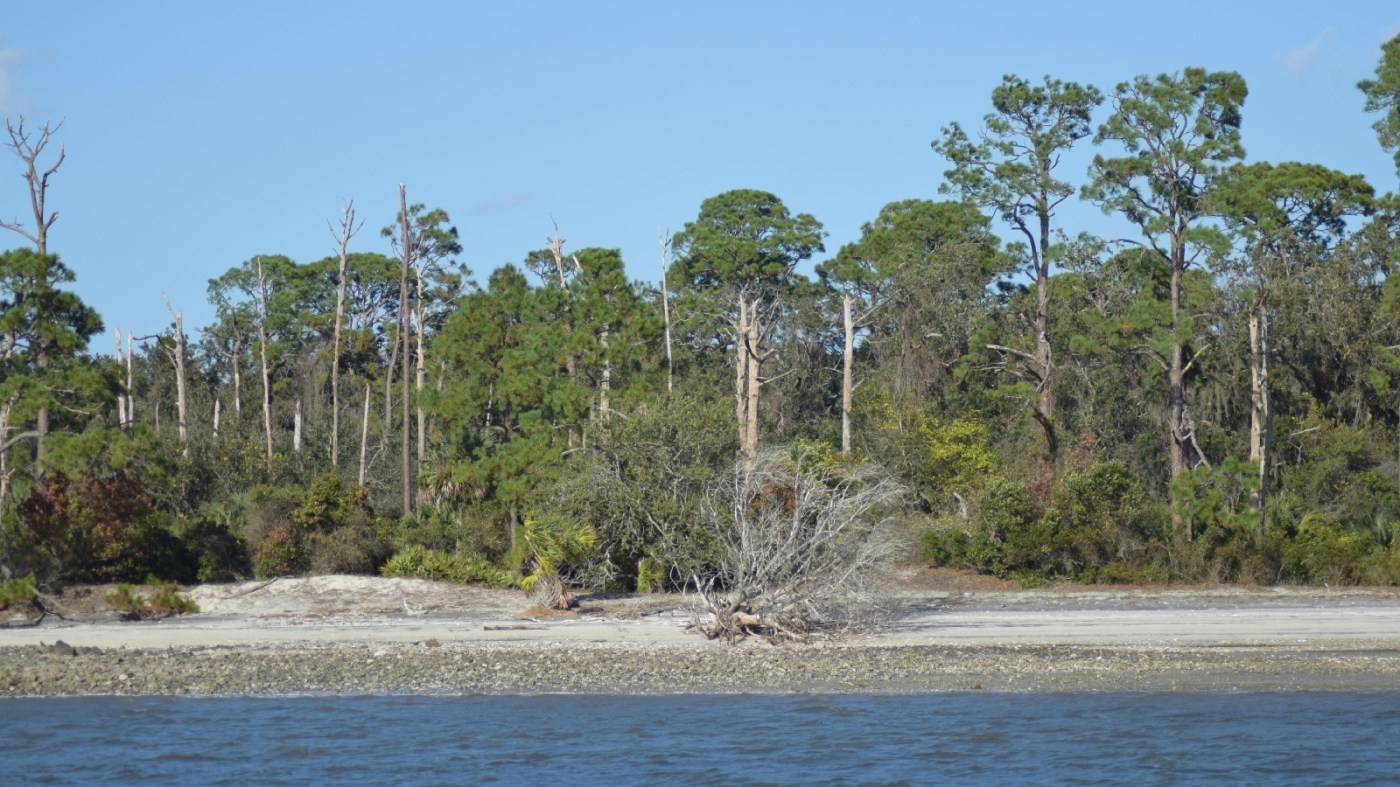 Anchor-excursions now offers a Golden Isles Small Boat Eco-Tour
